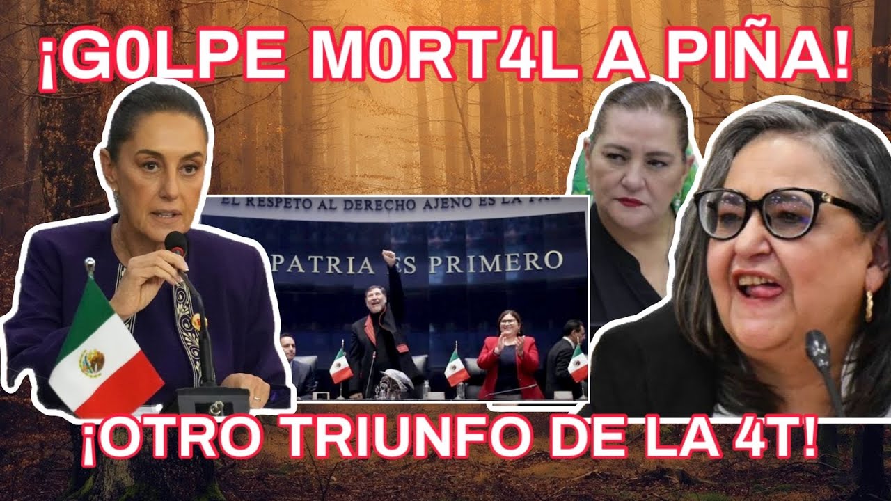 ¡SE ACABÓ! POR FIN LLEGARÁ LA JUSTICIA TRIBUNAL PONE UN ALT0 A ...
