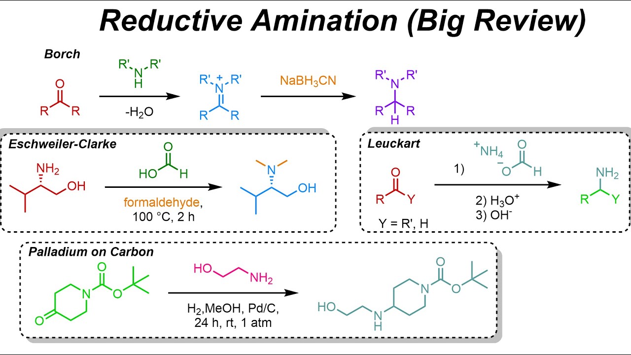 Reductive Amination & Amide Synthesis (IOC 40) - YouTube