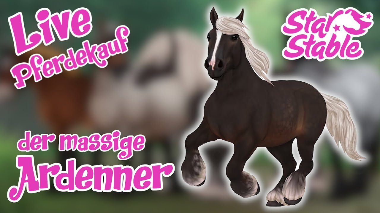 Star Stable [SSO] Live - Pferdekauf: Der kräftige Ardenner ist da ...
