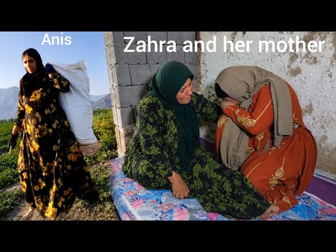 Two destinies, one hope; Anis' work and effort and Zahra's patience in the most difficult days