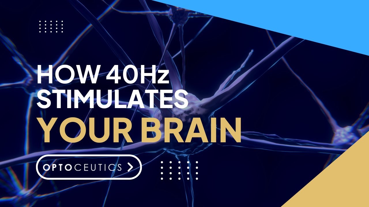 What Part of the Brain is Stimulated By Our 40 Hz Light? | EVY LIGHT ...