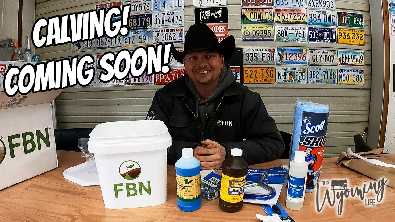 FBN Calving Kit & Calving Strategies - YouTube