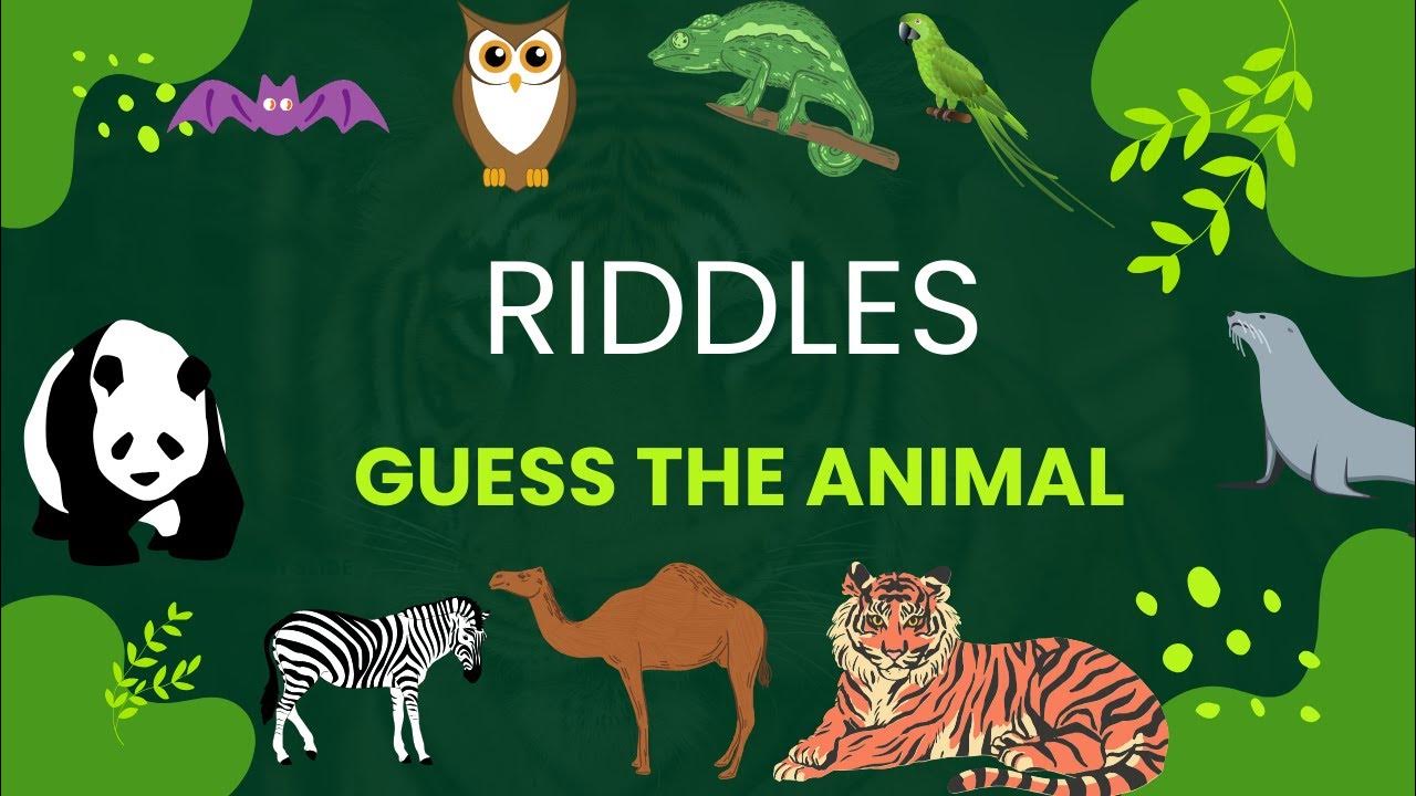 Riddles: Guess the animal | Guess the animal challenge - YouTube