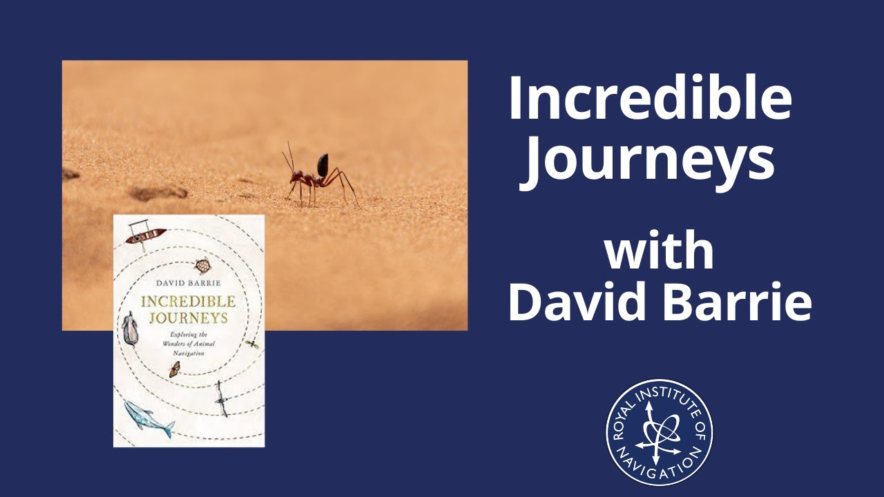 Incredible Journeys: A Glimpse of the Wonders of Animal Navigation with ...
