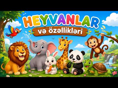 🐔Heyvanlar və xüsusiyyətləri 😍 Heyvanlar və özəllikləri 🐯 Heyvanlar və səsləri 🦁 Heyvanları tanıyaq