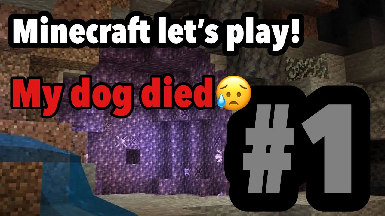 MY DOG DIED (minecraft bedrock 1.17 lets play) - YouTube