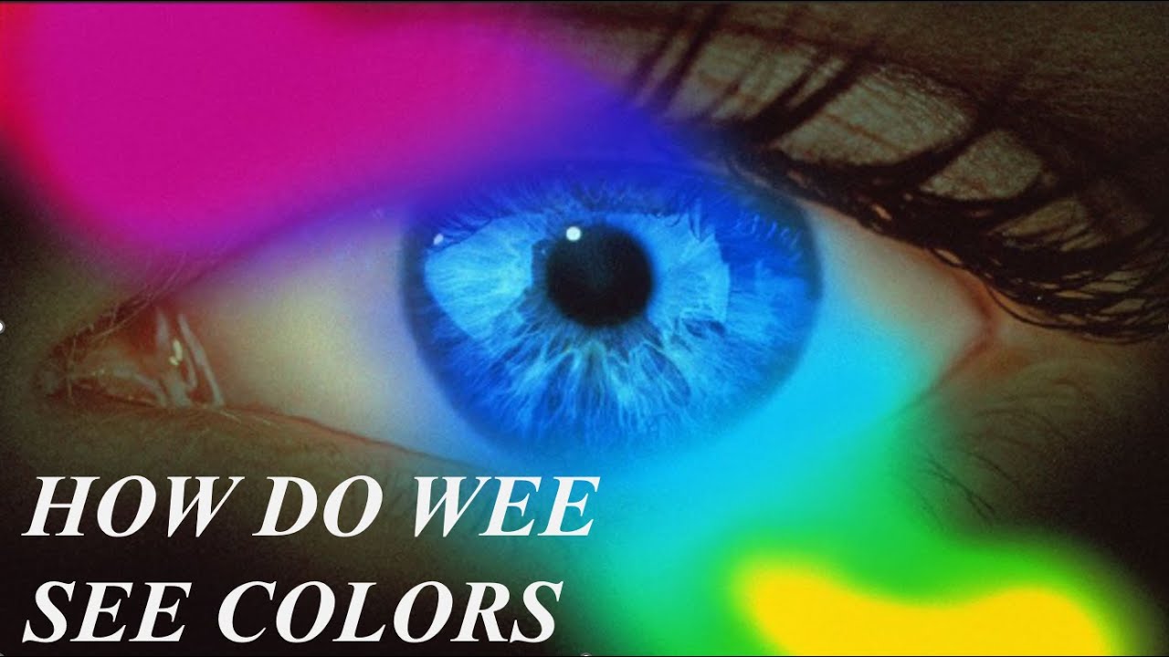 How we are able to see colors - YouTube