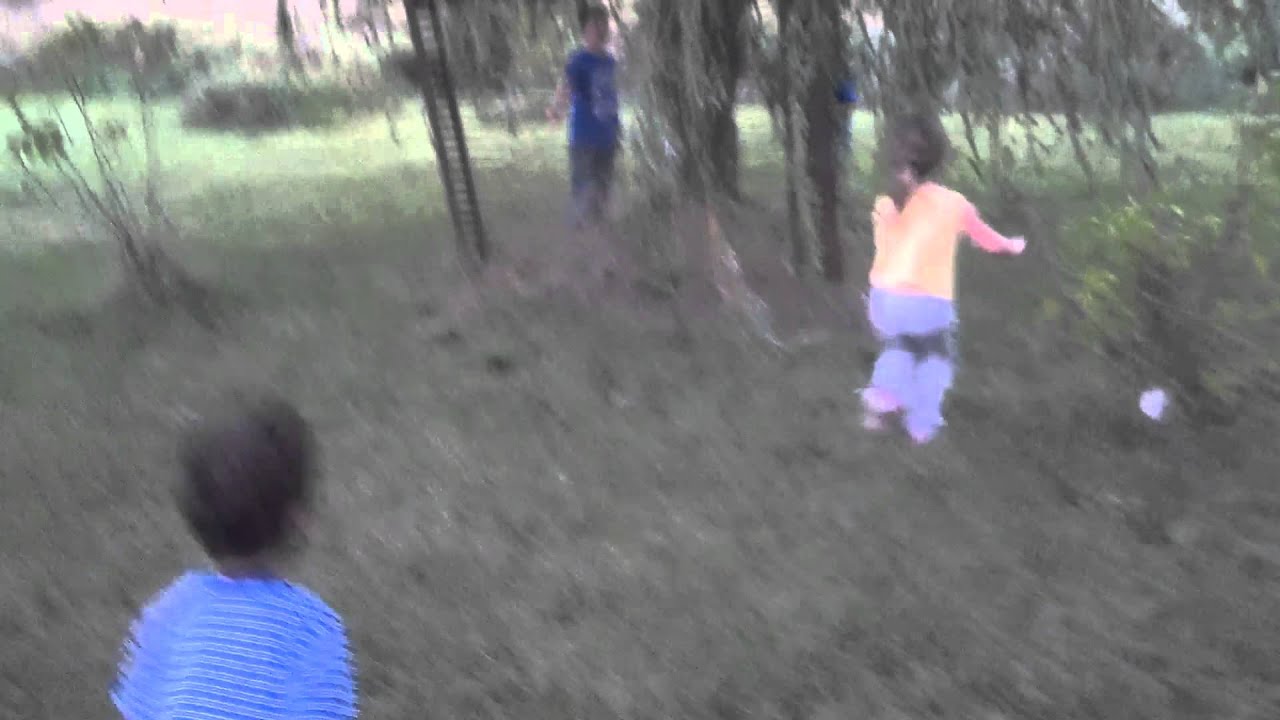 Kids catching bugs - YouTube