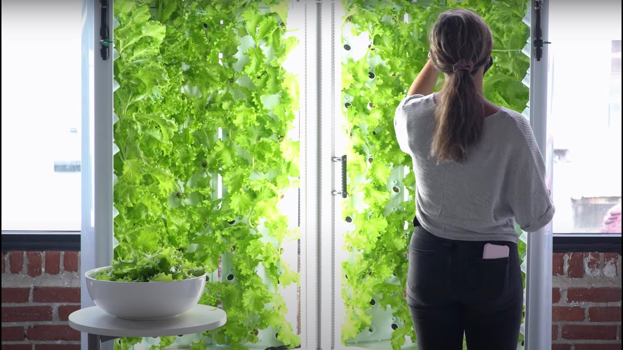 Fork Farms Flex Farm Salad Party in Fluxspace - YouTube
