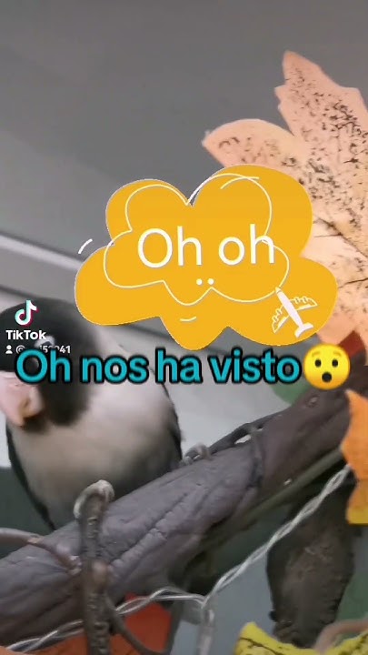 Corre Juanito, ven a esconderte de Jaimita 😮 - YouTube