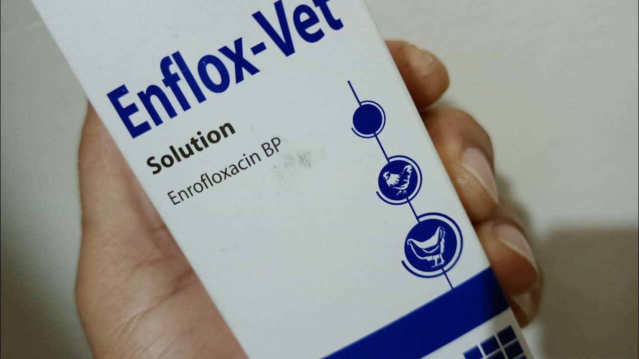 Enflox-Vet® Solution - YouTube