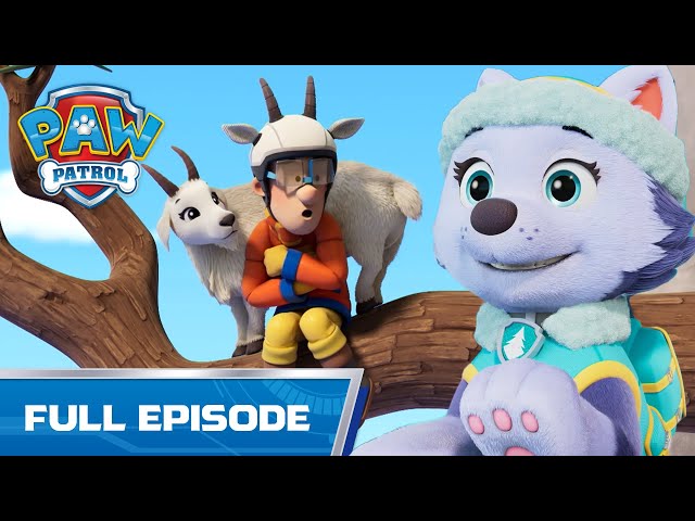 Everest saves a Baby Goat from an Avalanche! - 1108A - PAW Patrol FULL ...