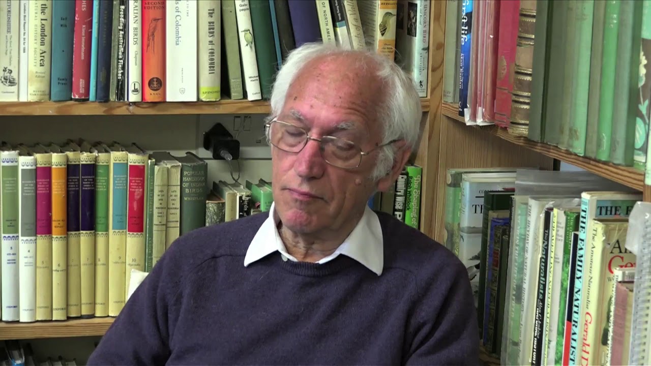 David Sumner - YouTube