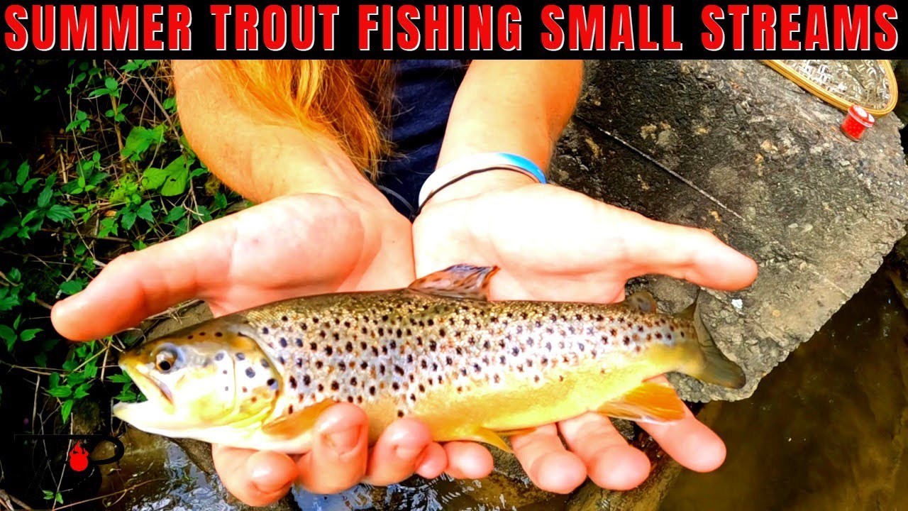 Summer Trout Fishing Small Streams - YouTube