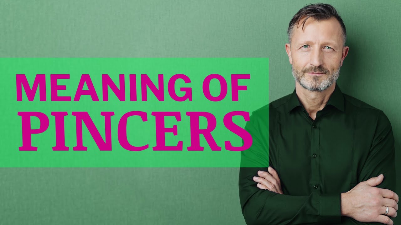 Pincers | Meaning of pincers 📖 - YouTube
