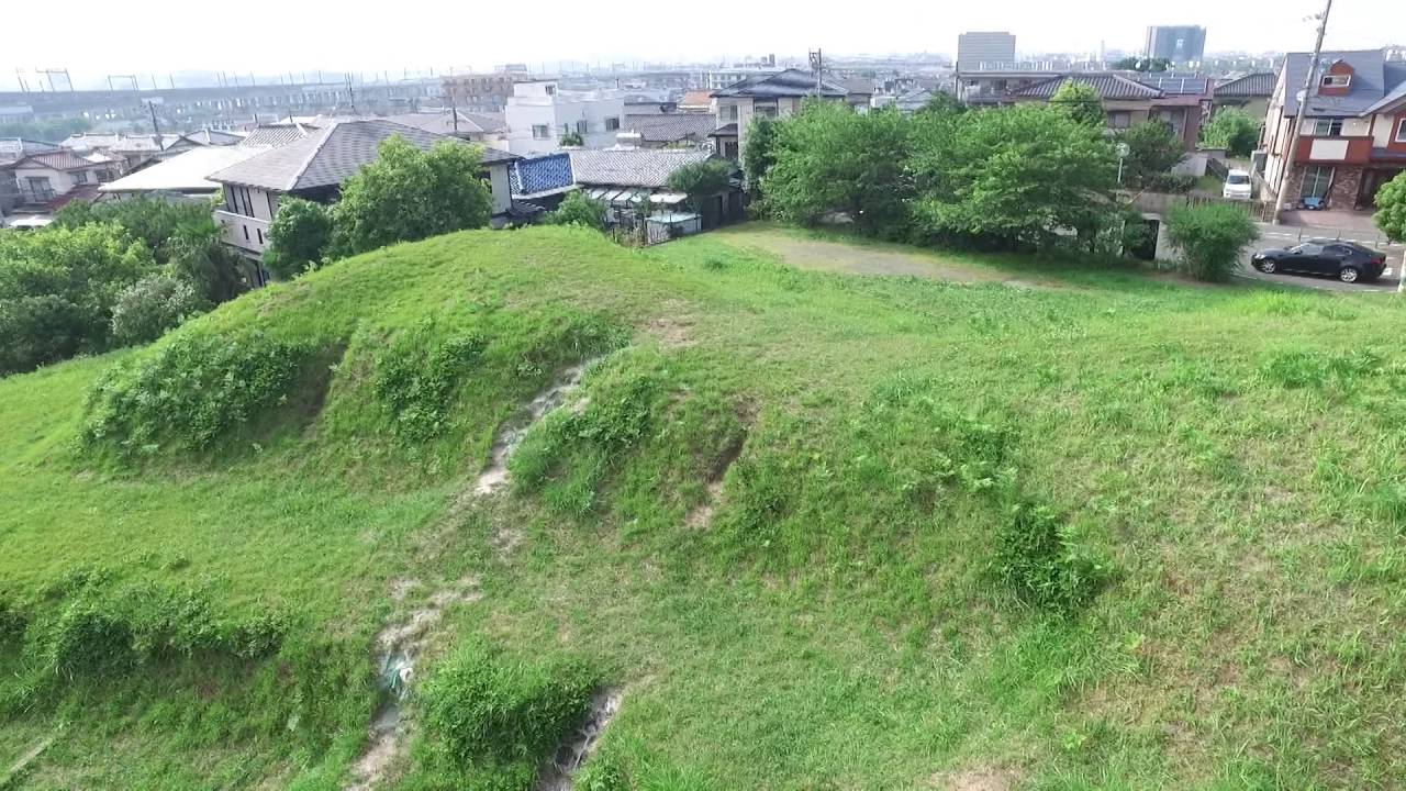 BiRod を使って撮影してみた。 - YouTube