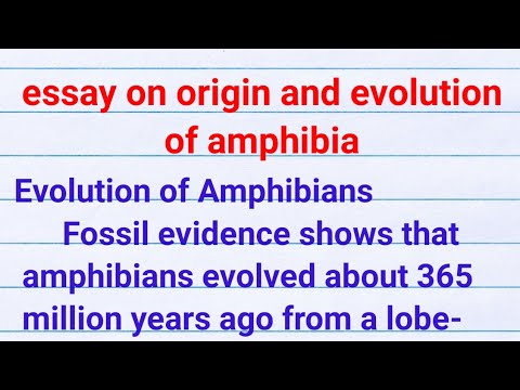 write an essay on origin and evolution of amphibia - YouTube