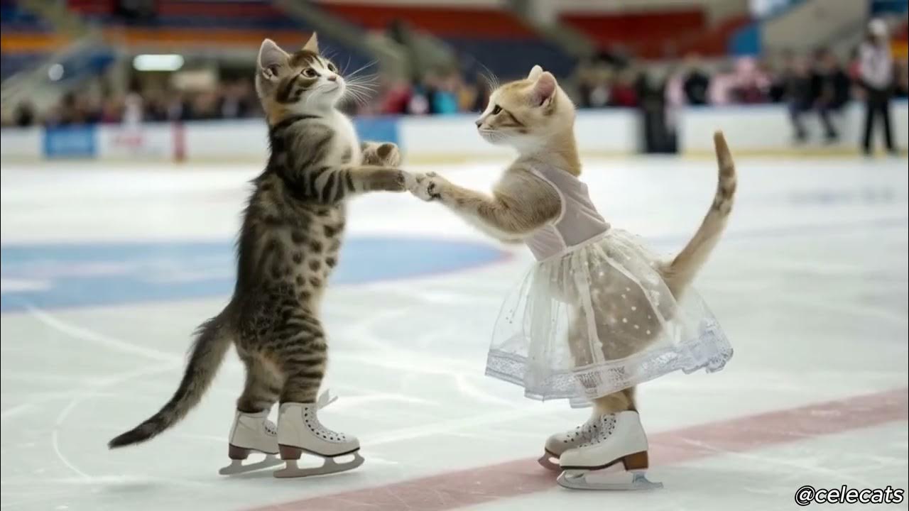 Pair Cats Figure Skating. #figureskating #fotofairytale #celecats #animation #aiart #cutecats ...