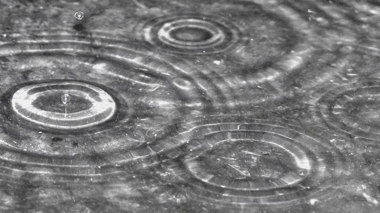 John Stone - "April Rain Song" (Langston Hughes), sung by Molly ...