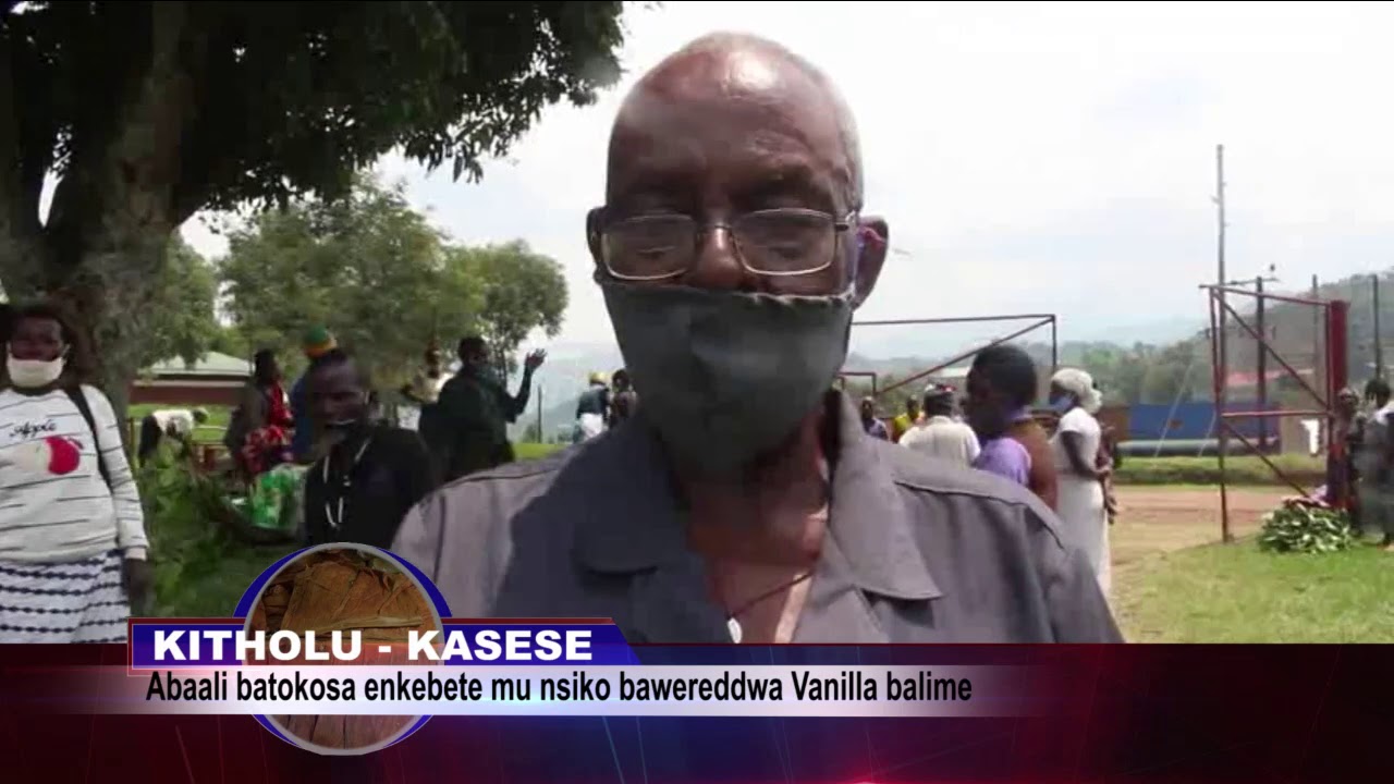 Amawulire: Ekasese abakuba emundu baweledwa vanilla - YouTube