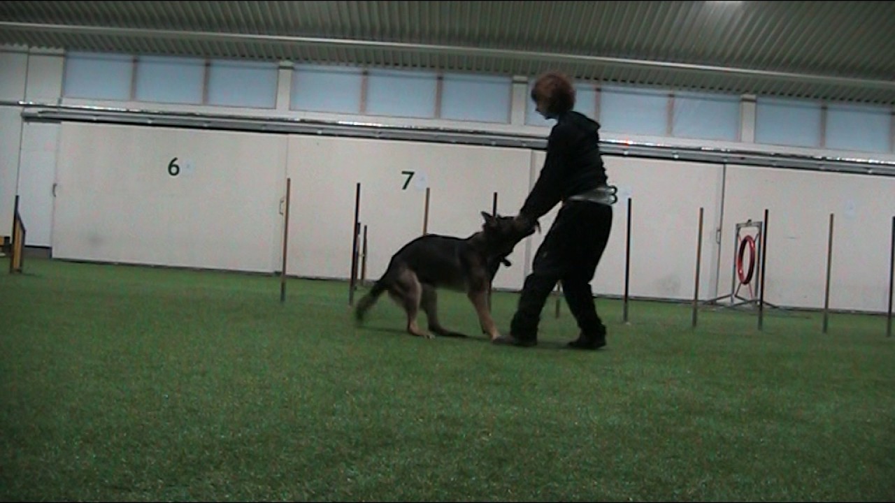 Nimbus luopuu lelusta 23.11 - YouTube