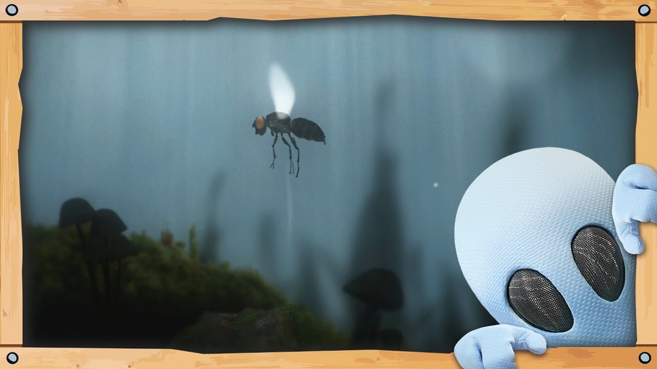 O MELHOR JOGO DA STEAM - O Jogo Da Mosca - The Plan - YouTube