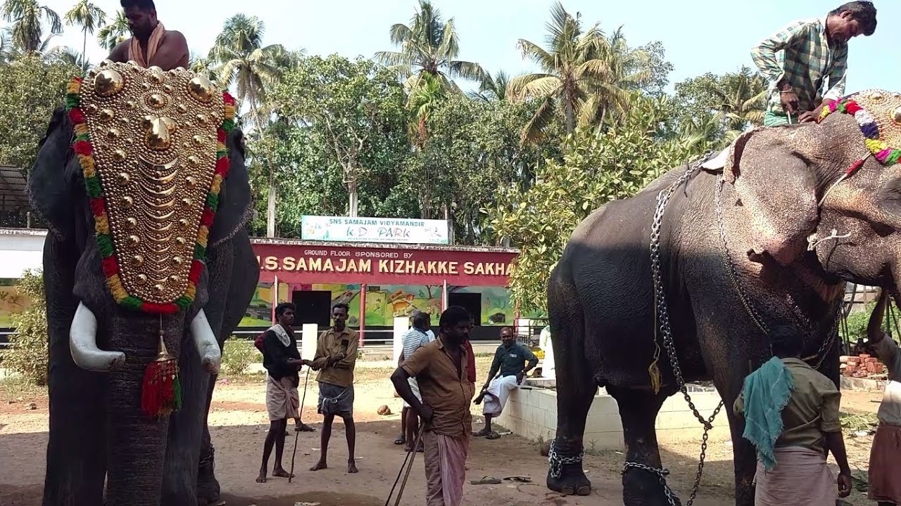 AYYAPPAN AND PARAMEKKAVU DEVI DASAN READY FOR EDAMUTTAM POOYAM 2018 ...