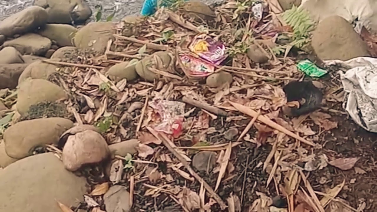 Adventure in Barangay Toril in Aloran misamis occidental-swimming pool ...