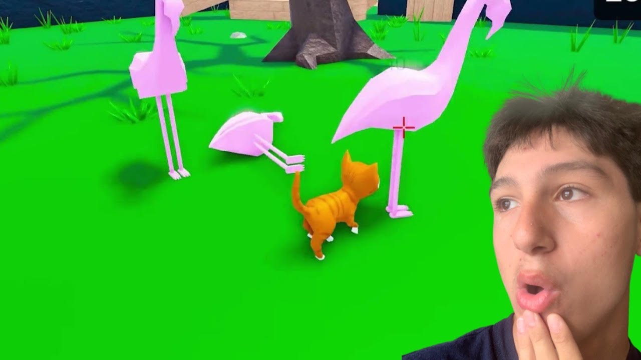 Roblox Bad Cat (first edited video) - YouTube