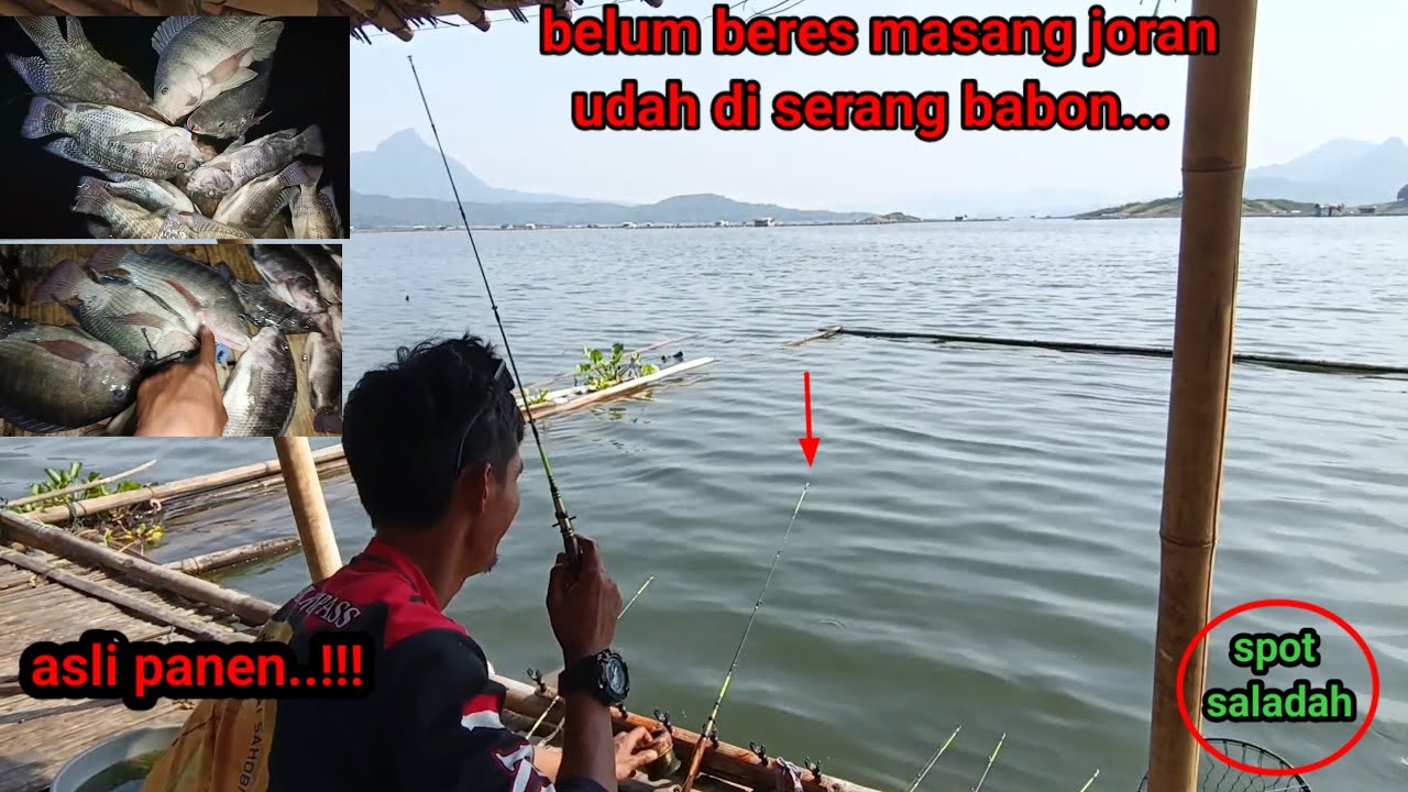 mancing jatiluhur/ iseng2 nyobain ke spot yang udah jarang di jamah ...