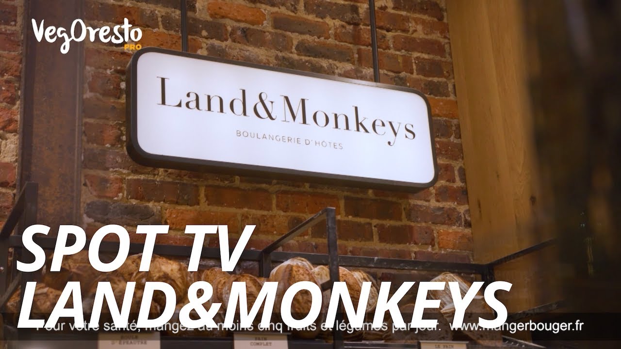 SPOT TV - LAND&MONKEYS - YouTube