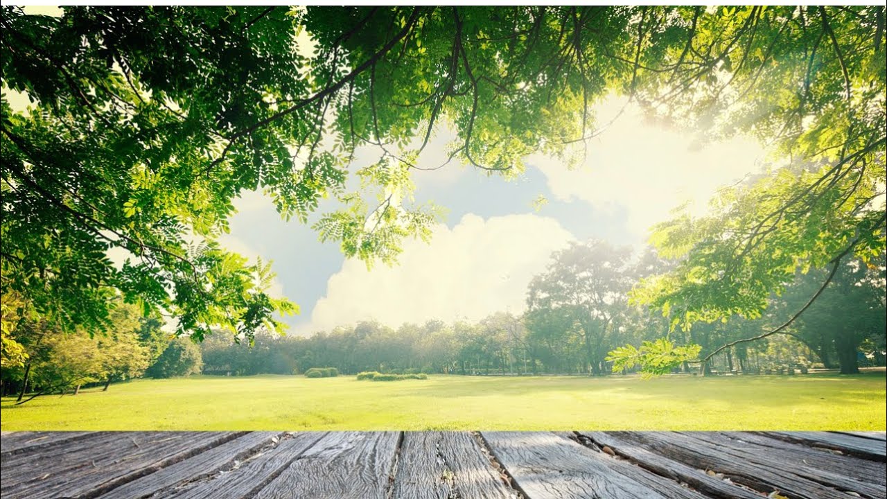 MOST BEAUTIFUL NATURE PLACE TO RELAXATION - YouTube