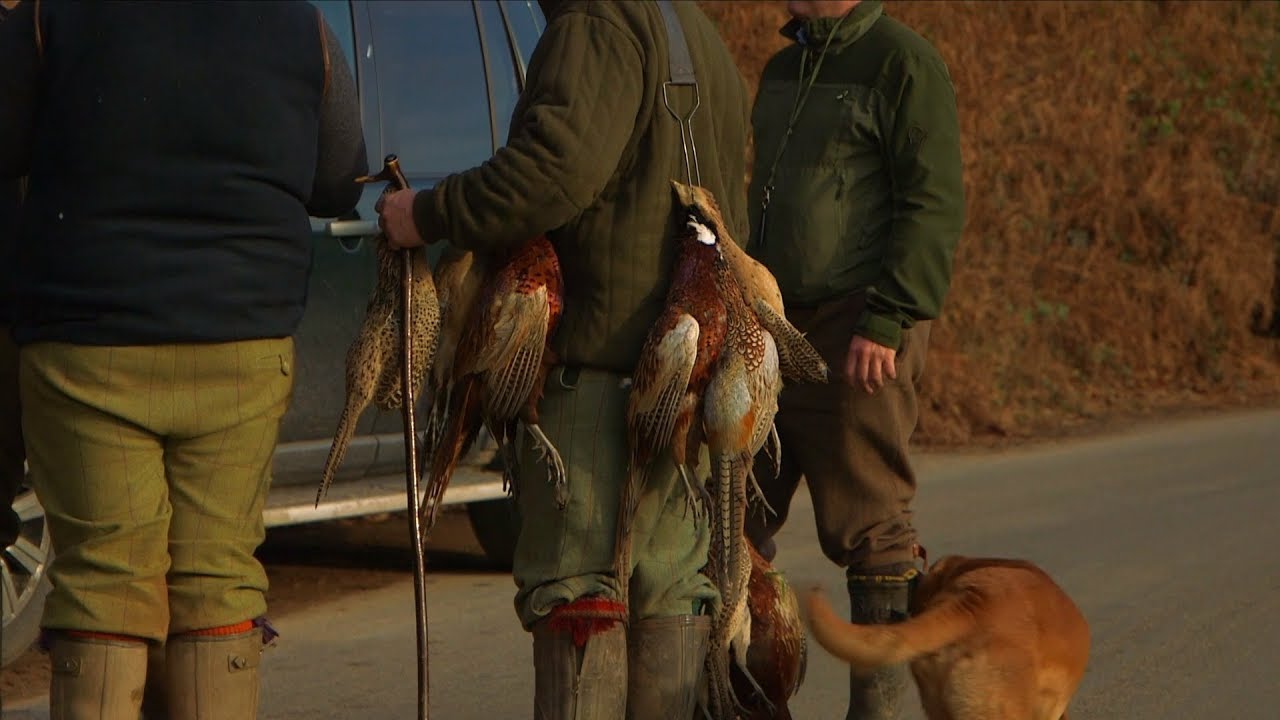 The Huntsham Shoot, Devon - YouTube