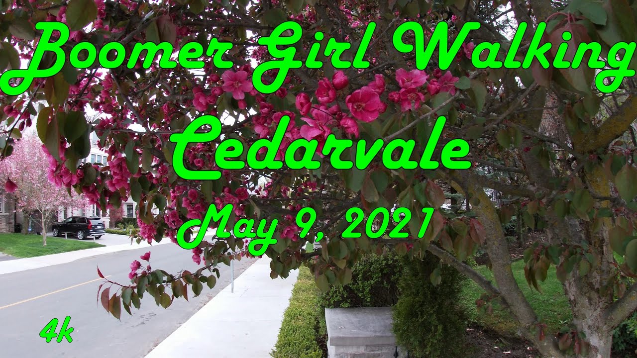 Cedarvale - YouTube