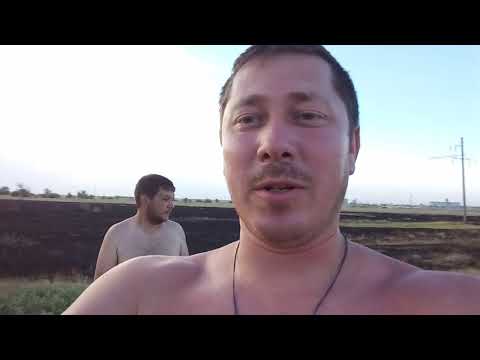 Гудбай Палласовка