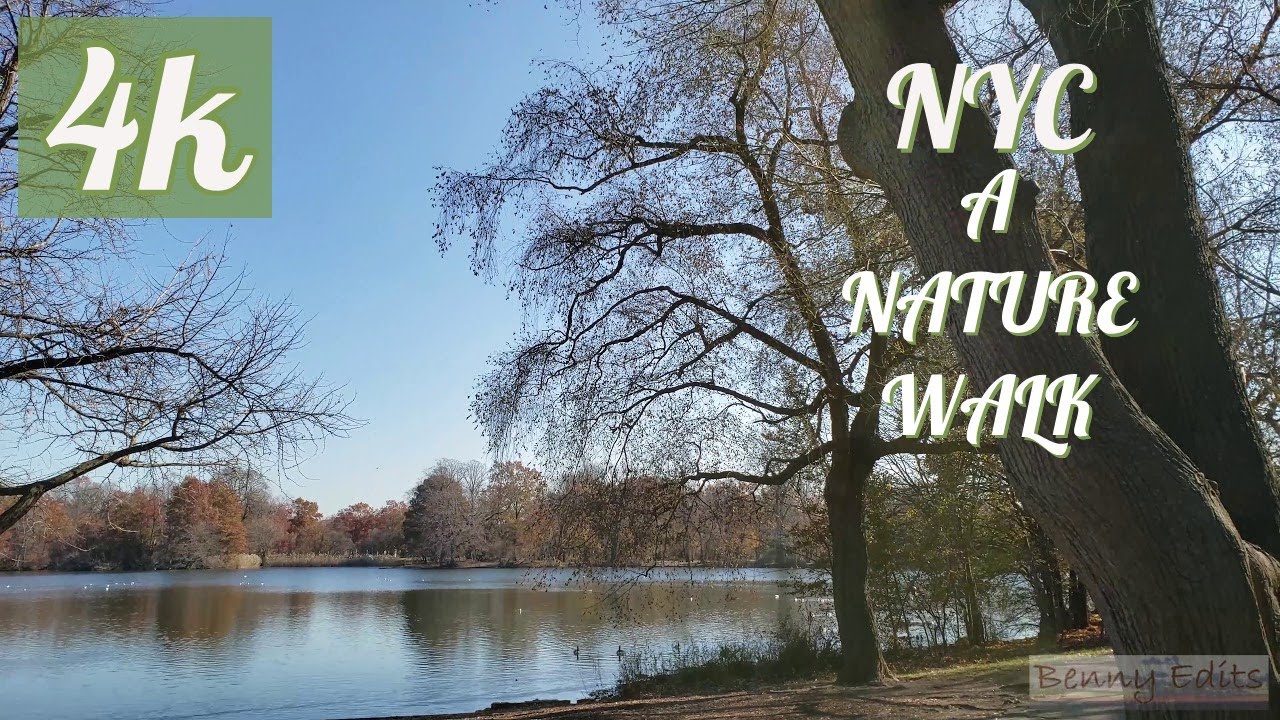 Prospect Park Nature Hike | ⁴ᴷ⁶⁰ NYC Walking Tour Narrated - YouTube