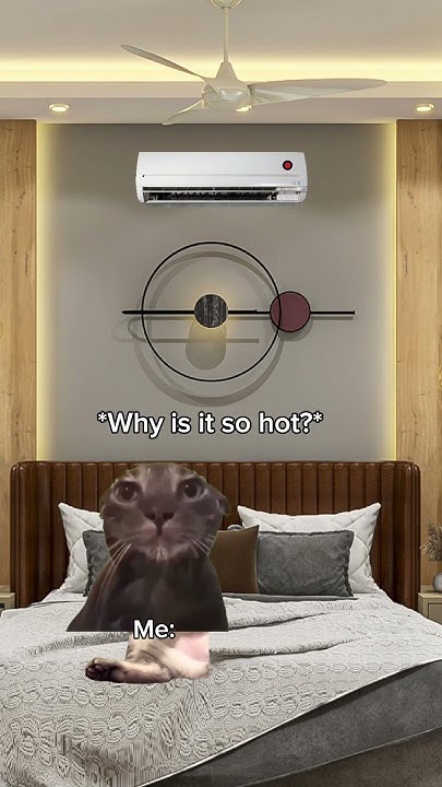 Cat memes thing mom do to wake you up 🤣 #cat #catmemes #relatable - YouTube