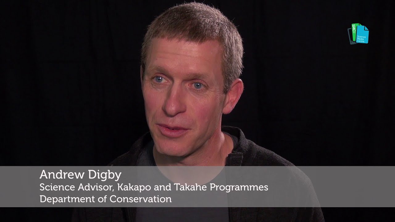 Science Media SAVVY Express: Andrew Digby — kākāpō genome project - YouTube