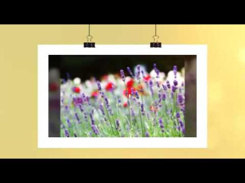 Müslüm Gürses, Sevmek senin neyineki arkadaş