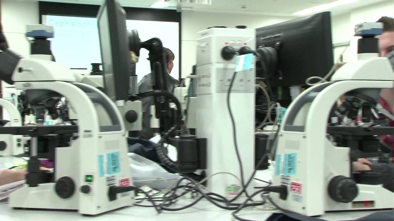 Macquarie University Biological Sciences Lab Tour - YouTube