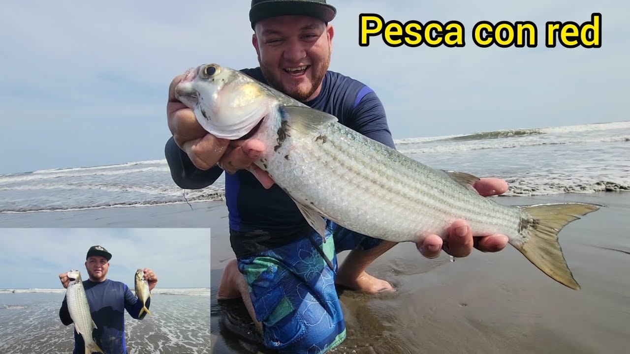 PESCANDO CON RED EN EL ESPINO...agarramos gran "CHIMBERA" - YouTube