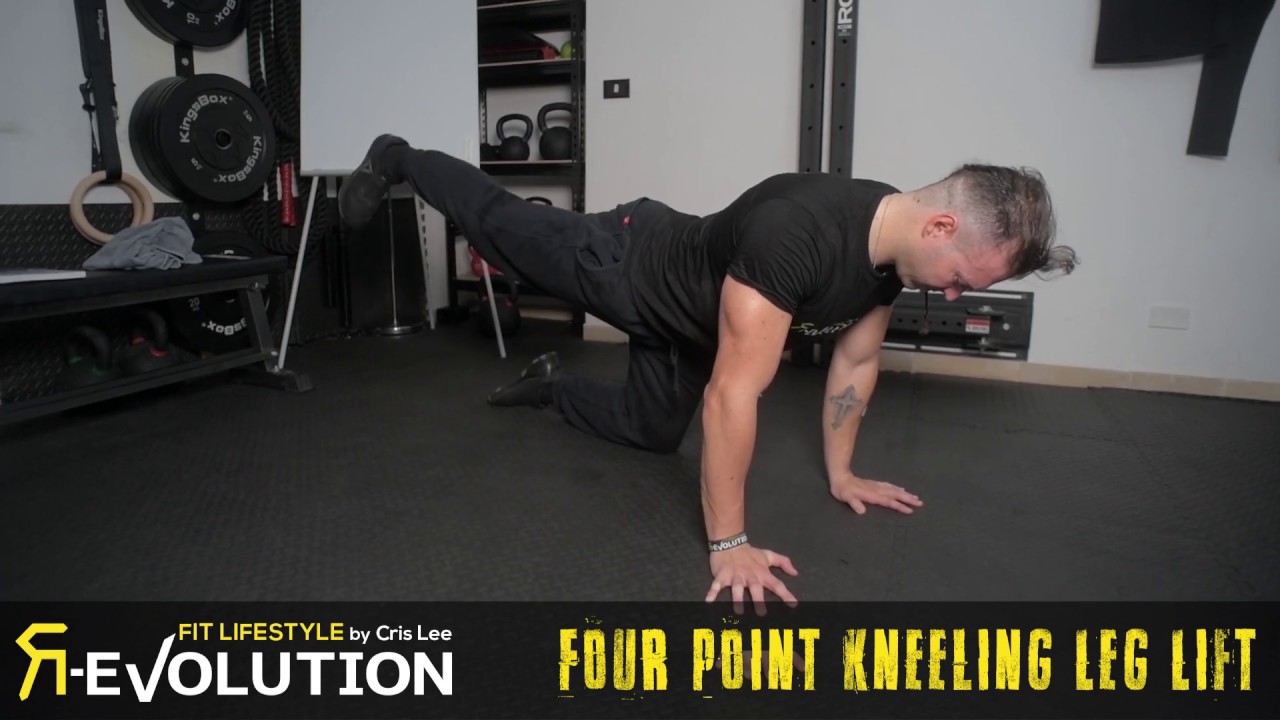 Я-Evolution Tutorial Four Point Kneeling Leg Lift - YouTube
