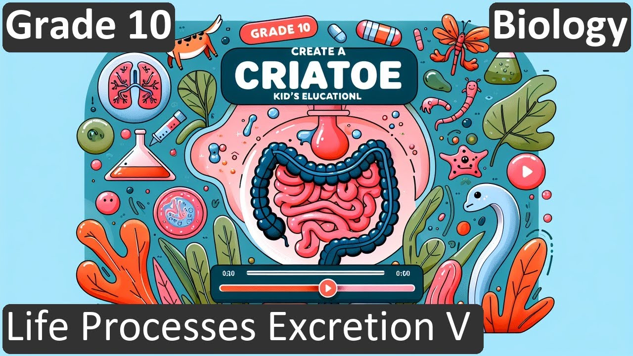 Grade 10 | Biology | Life Processes Excretion V | Free Tutorial | CBSE ...