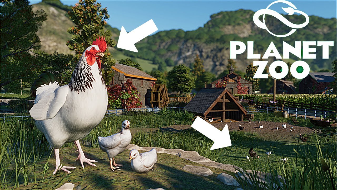 NEW PACK! WE ADD CHICKENS INTO THE ZOO!! || PLANET ZOO - YouTube