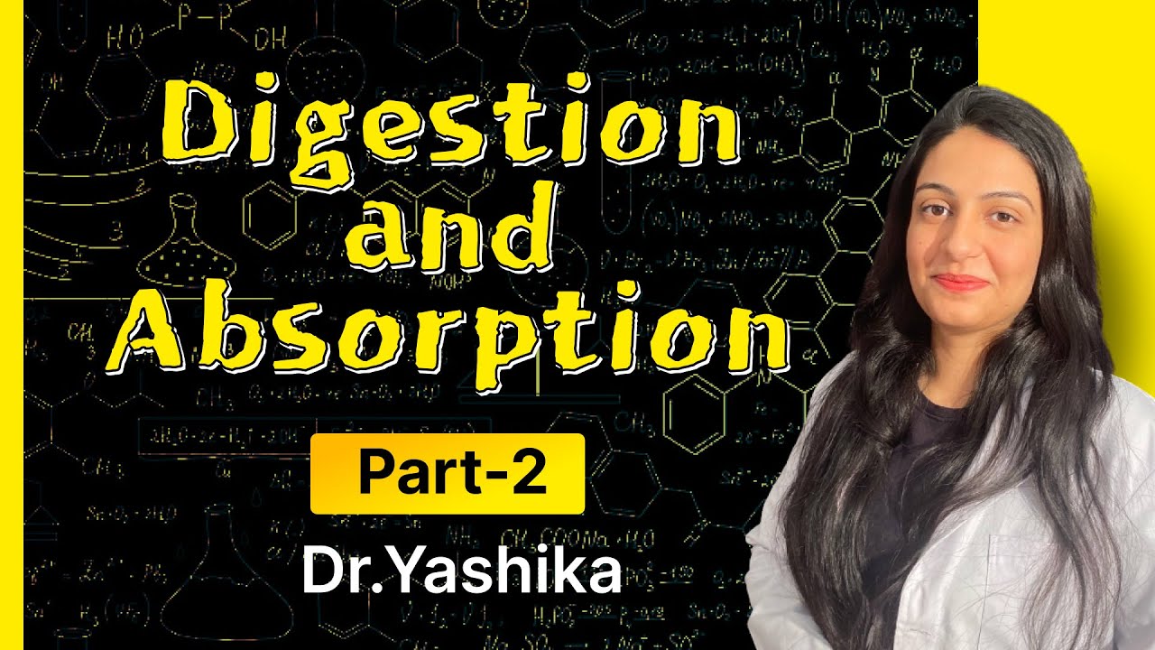 STOMACH AND LIVER CHAPTER-Digestion and Absorption Part 2 || Dr Yashika #digestion #absorption ...