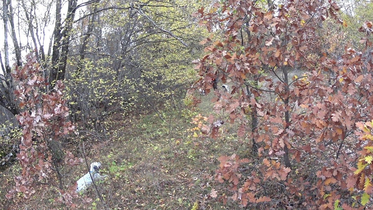 2017 Šljuka 1 - YouTube