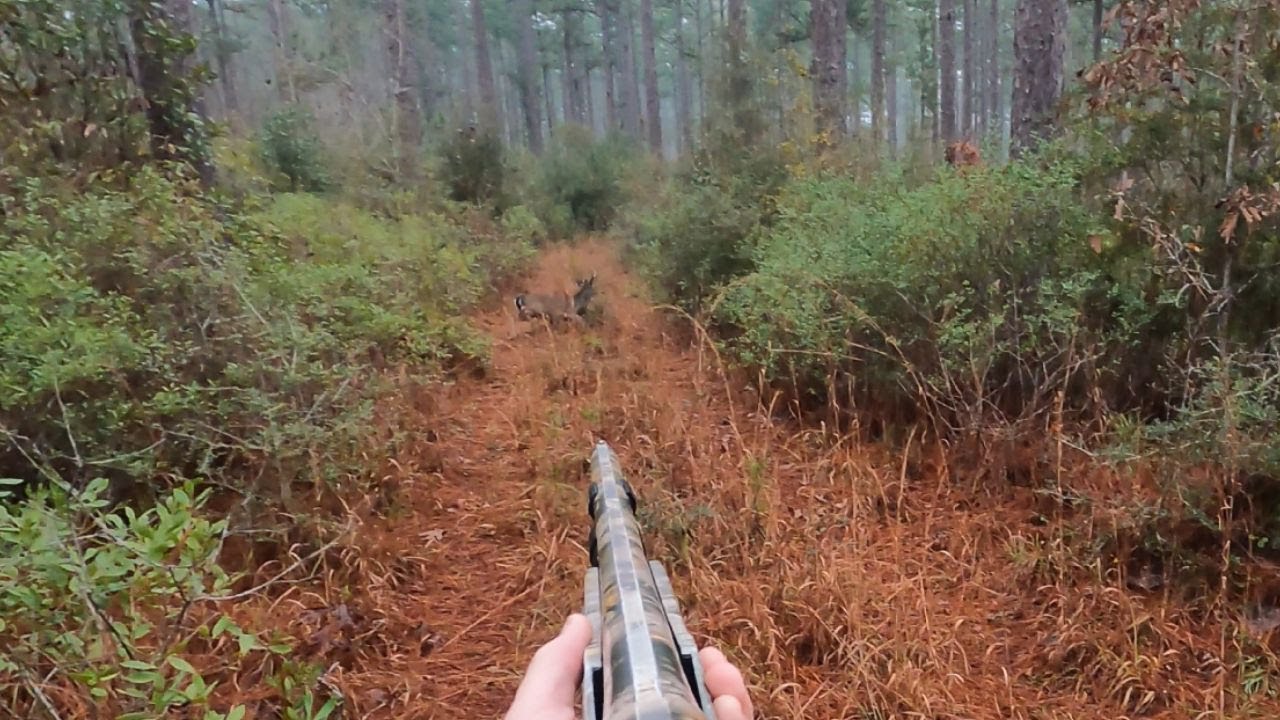 TWO 5 POINTS DOWN AND KILLSHOT ON CAMERA!! (Deer Hunting With Dogs 2024 ...