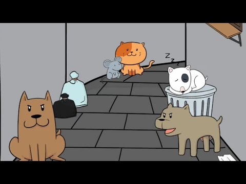 brain test all-star level 437 - YouTube