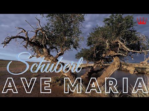 Schubert AVE MARIA Alexis Vassiliev , Simon Kalinowski - YouTube