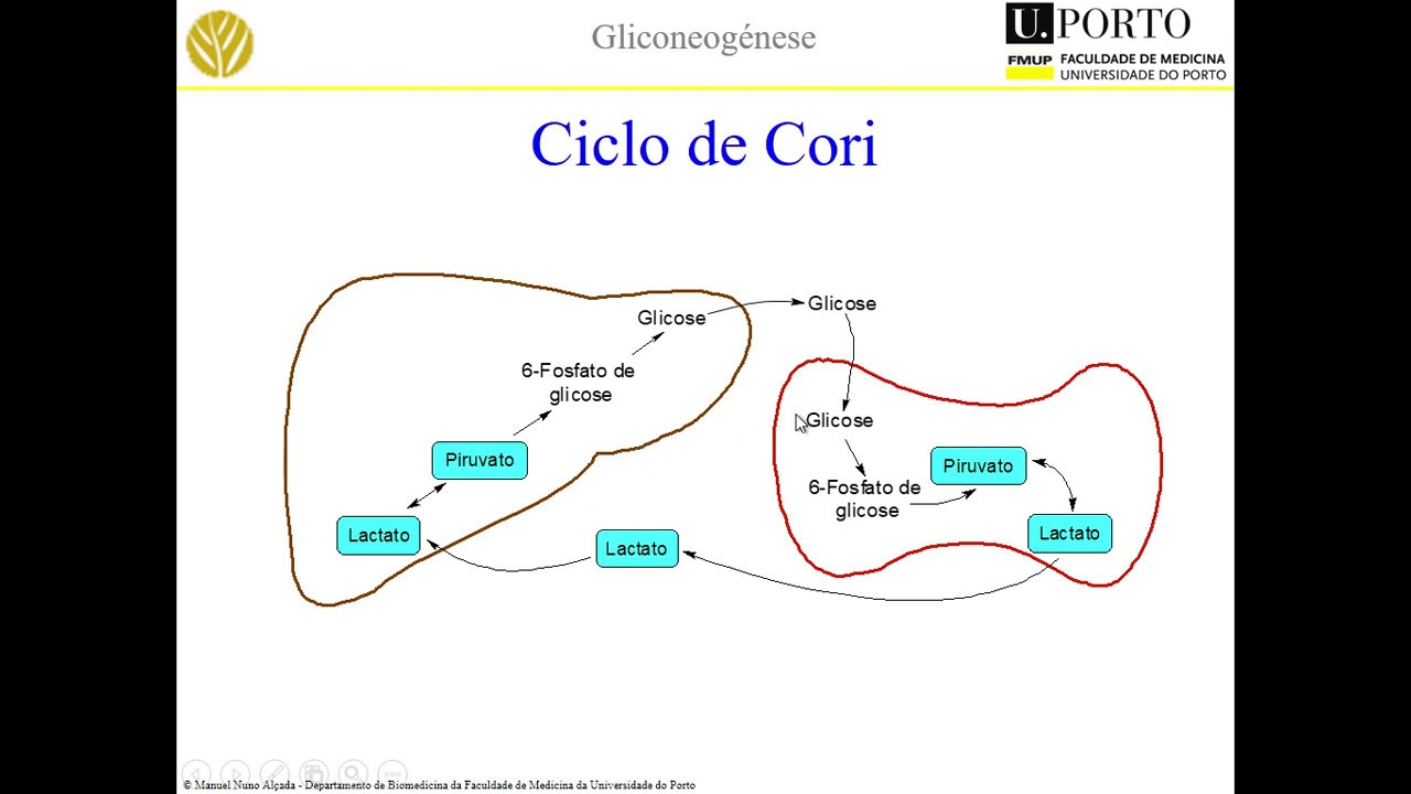 Ciclo de Cori 2020 - YouTube